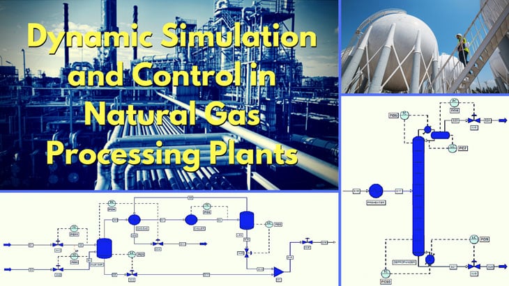 Dynamic Simulation and Control in Natural Gas Processing Plants