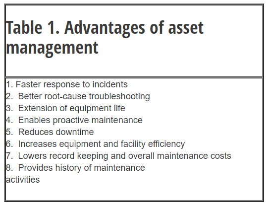 How Can Asset Management Strategies Improve Plant Efficiency?